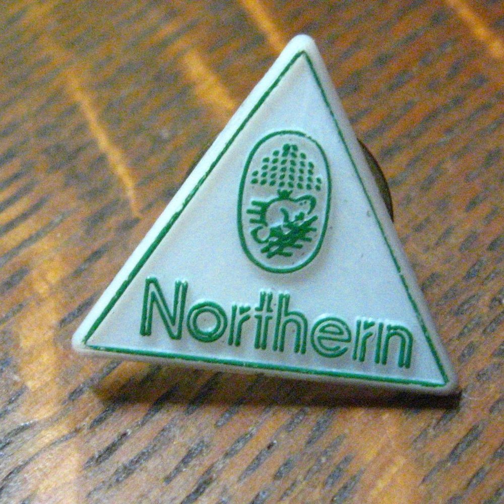 Northern Vintage Triangle Lapel Pin - Gem